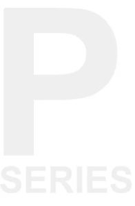 P Series — Geek+ Robotics